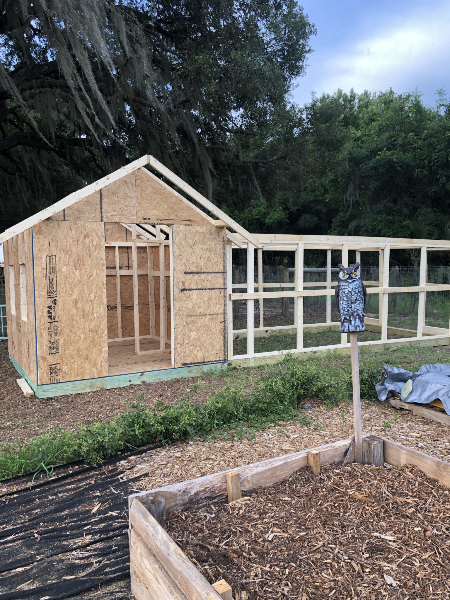How To Build A Chicken Coop - littlehousesimpleliving.com