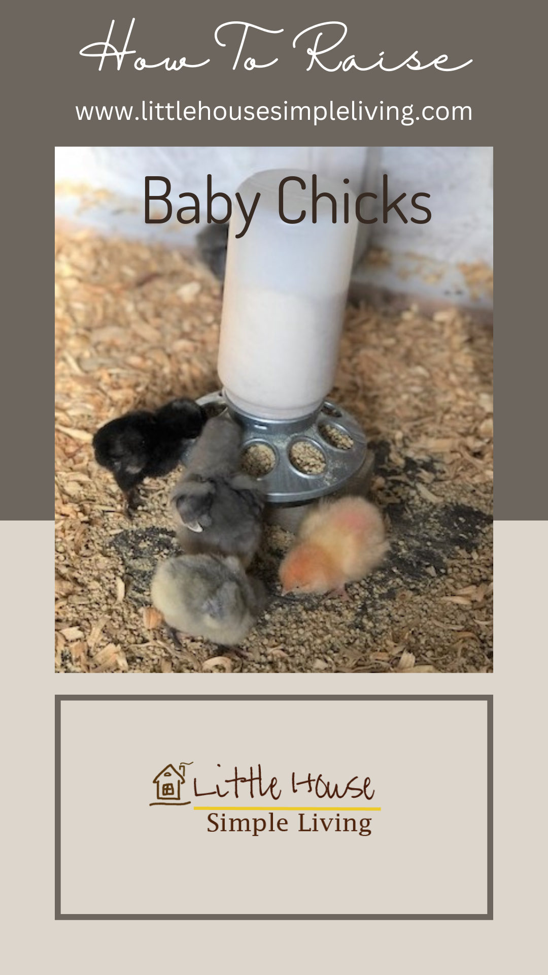 How To Raise Baby Chicks - littlehousesimpleliving.com