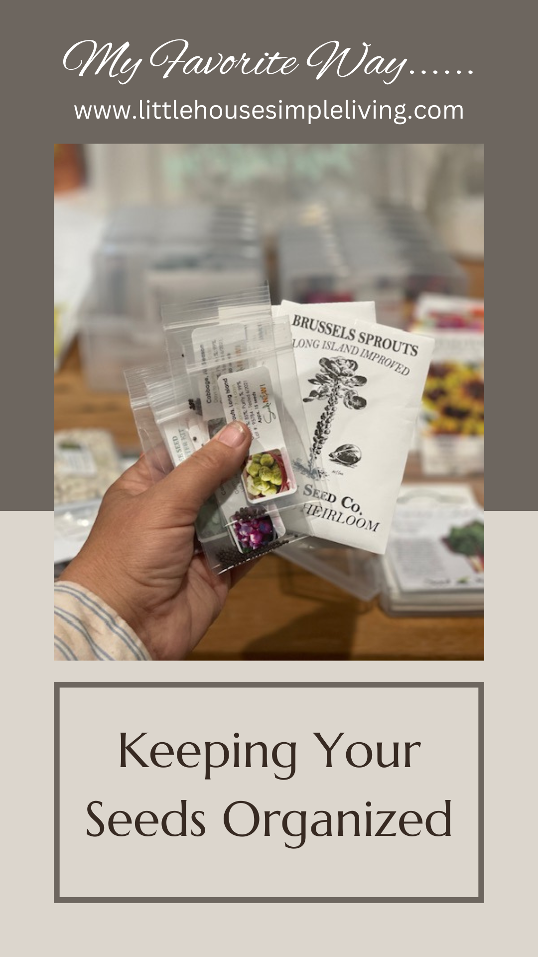 Keeping Your Seeds Organized - littlehousesimpleliving.com