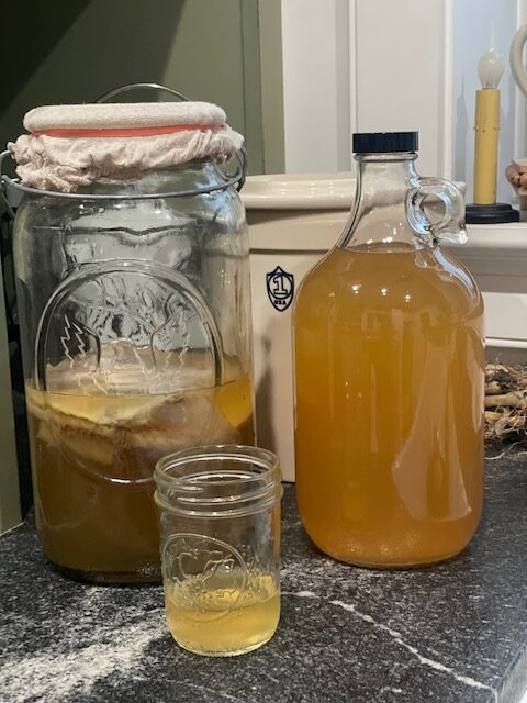 Jun Tea Kombucha - littlehousesimpleliving.com