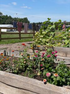 DIY Old-Fashioned Pulley Clothesline - littlehousesimpleliving.com