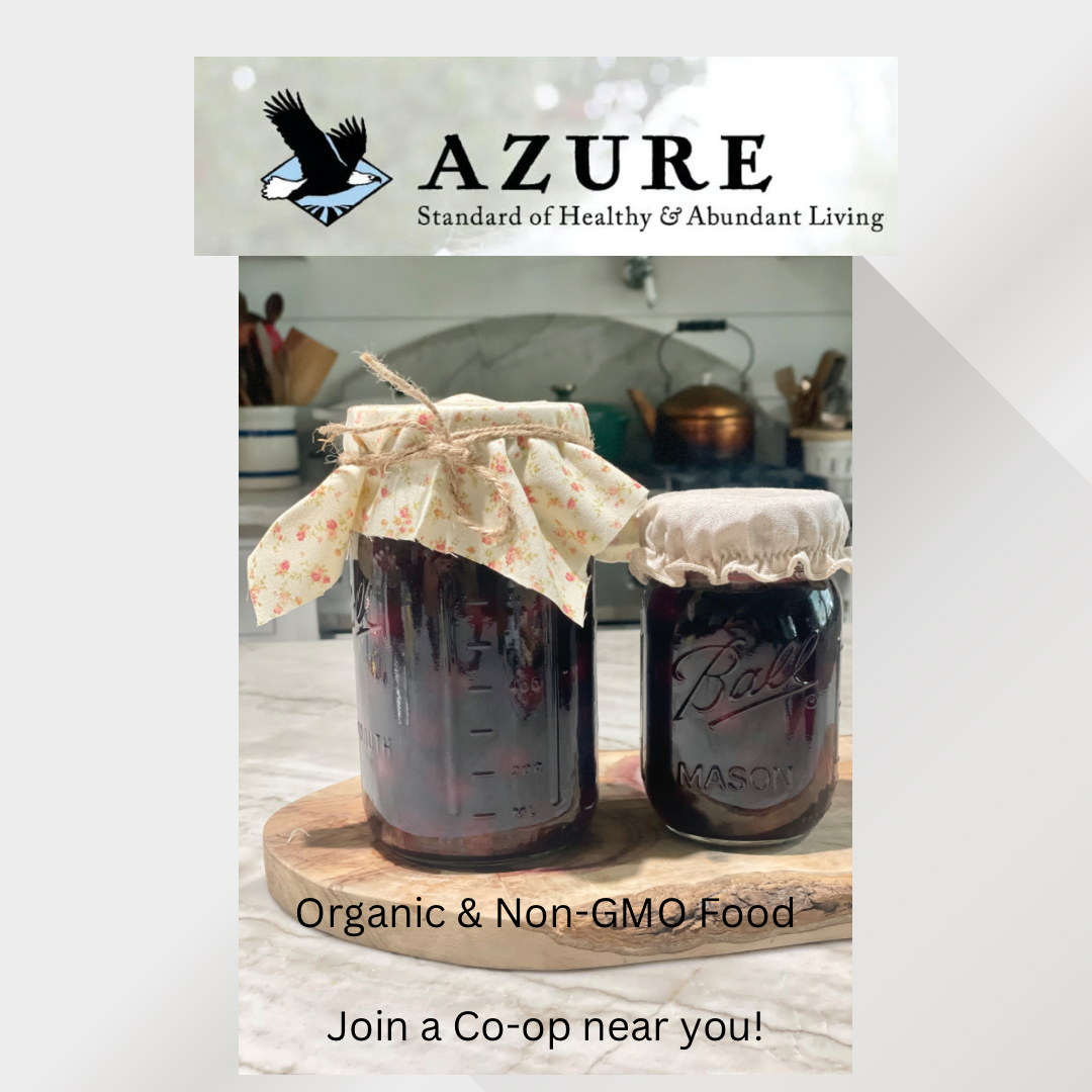 Cherry Galette with Homemade Crust - littlehousesimpleliving.com