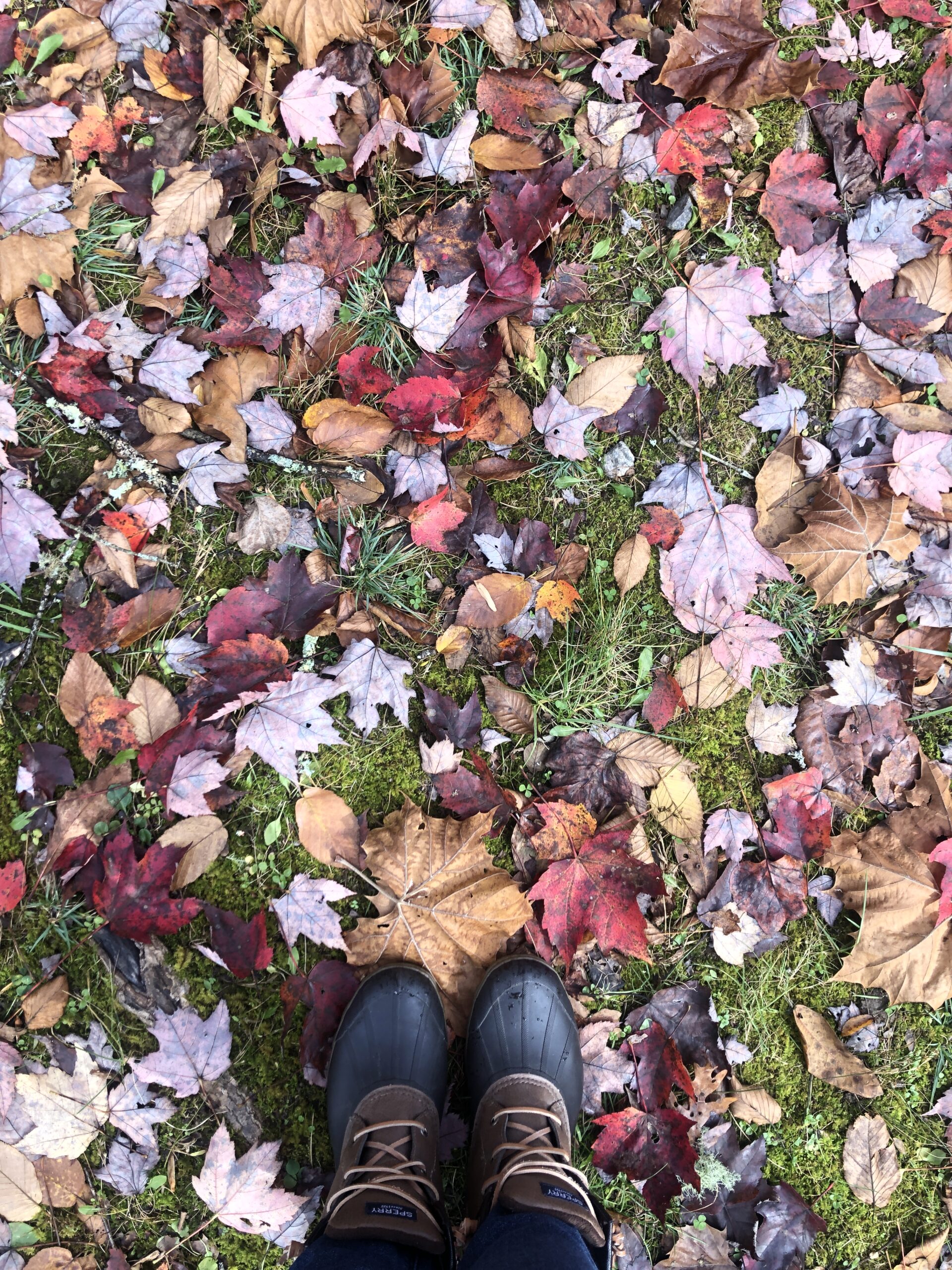 5 Simple Ways to Get Ready for Fall - littlehousesimpleliving.com