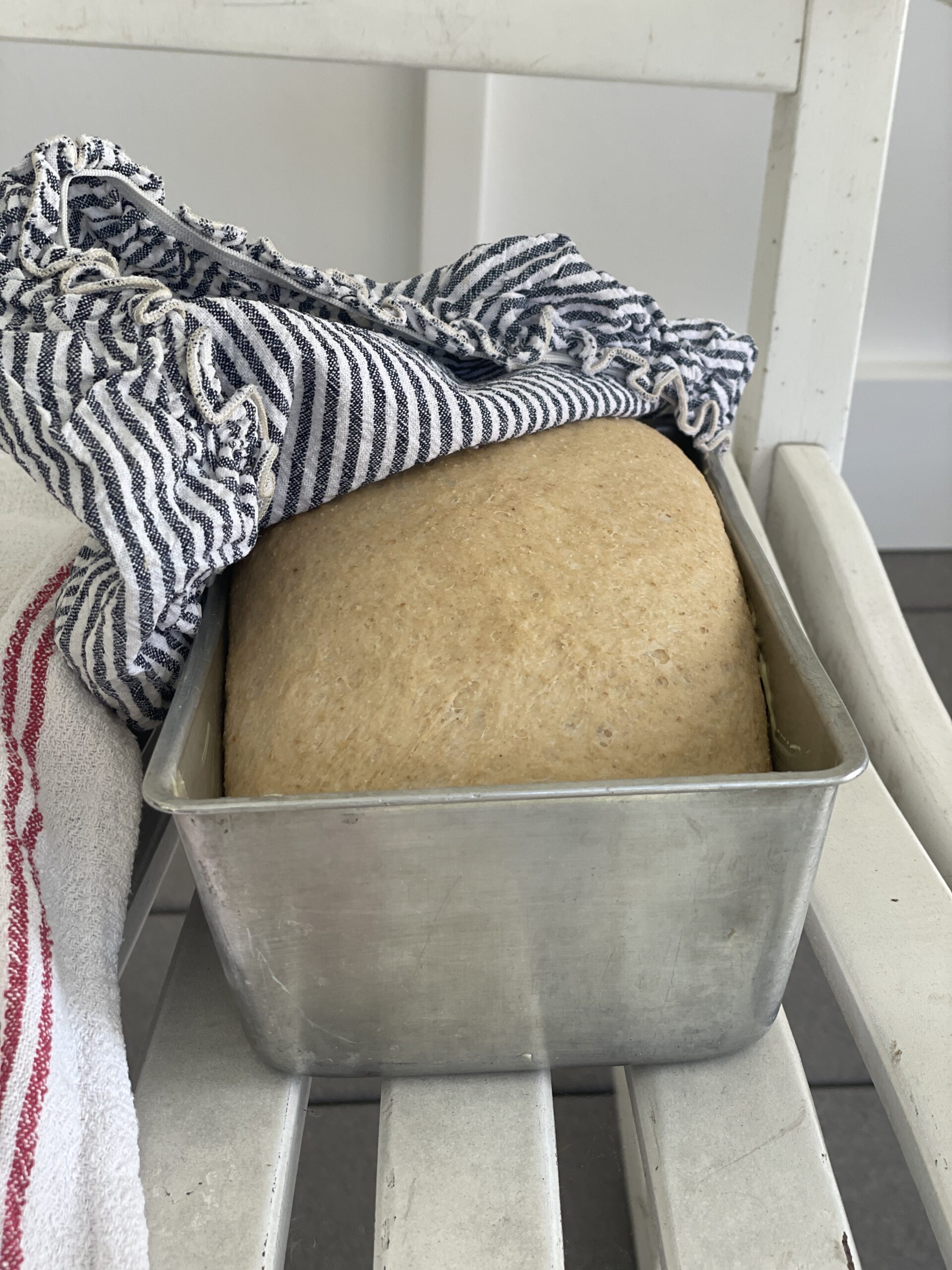 Milling Your Own Flour: Beginner’s Guide - littlehousesimpleliving.com